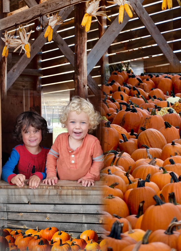 A Family Farm in Minnesota's Heartland – Fresh Produce, Fall Festival ...