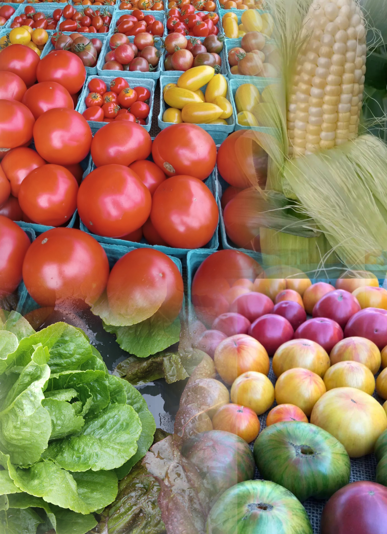 A Family Farm in Minnesota's Heartland – Fresh Produce, Fall Festival ...