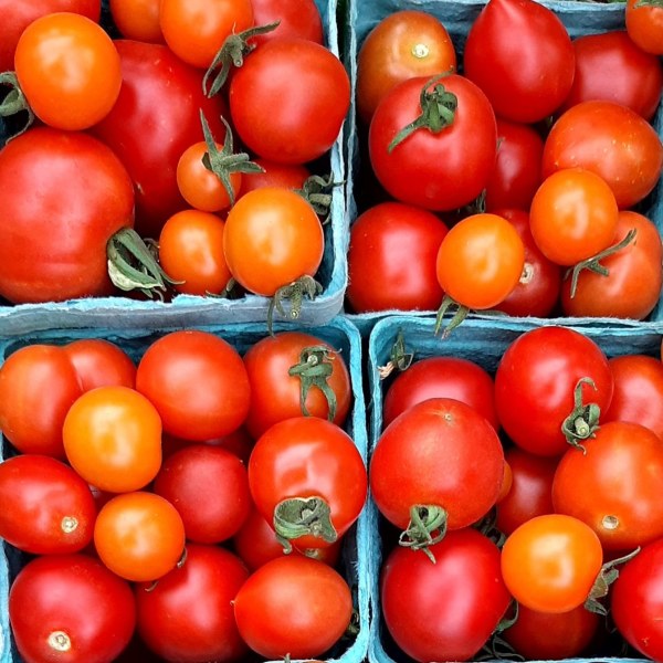 Fresh Produce – A Family Farm in Minnesota's Heartland