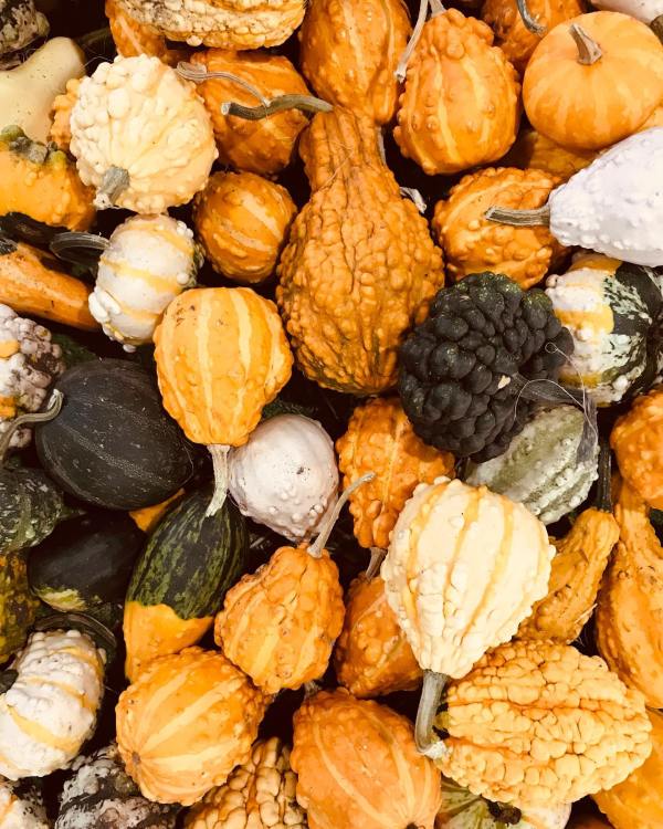 Fresh Produce – A Family Farm in Minnesota's Heartland