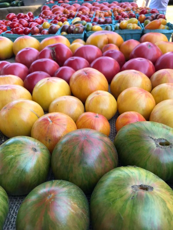 Fresh Produce – A Family Farm in Minnesota's Heartland